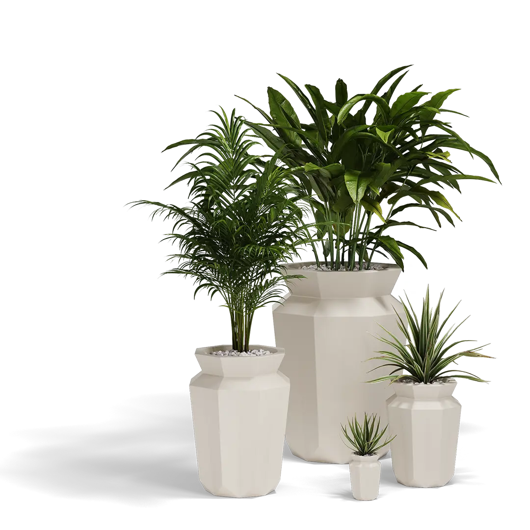 Maceta Gigante de Diseño – Macetas & Co